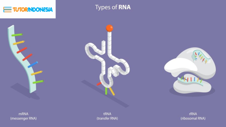Teori Biogenesis: Pengertian, Sejarah, dan Ciri-cirinya ... Teori Biogenesis: Pengertian, Sejarah, dan Ciri-cirinya ...